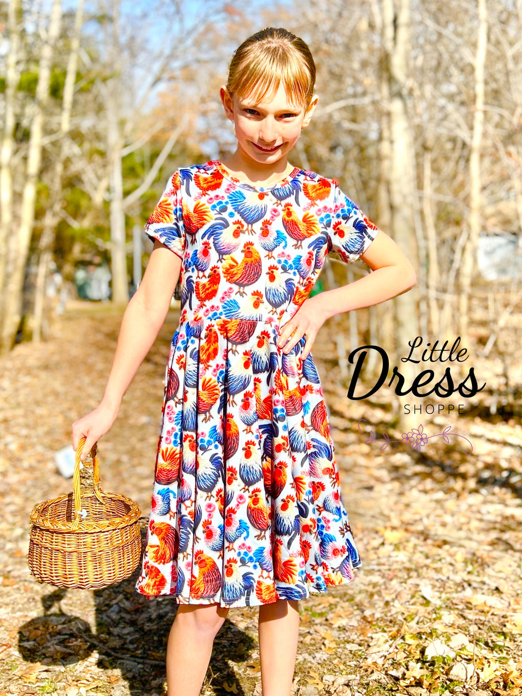 Embroidered Chicken/rooster Twirly Dress – Little Dress SHOPPE